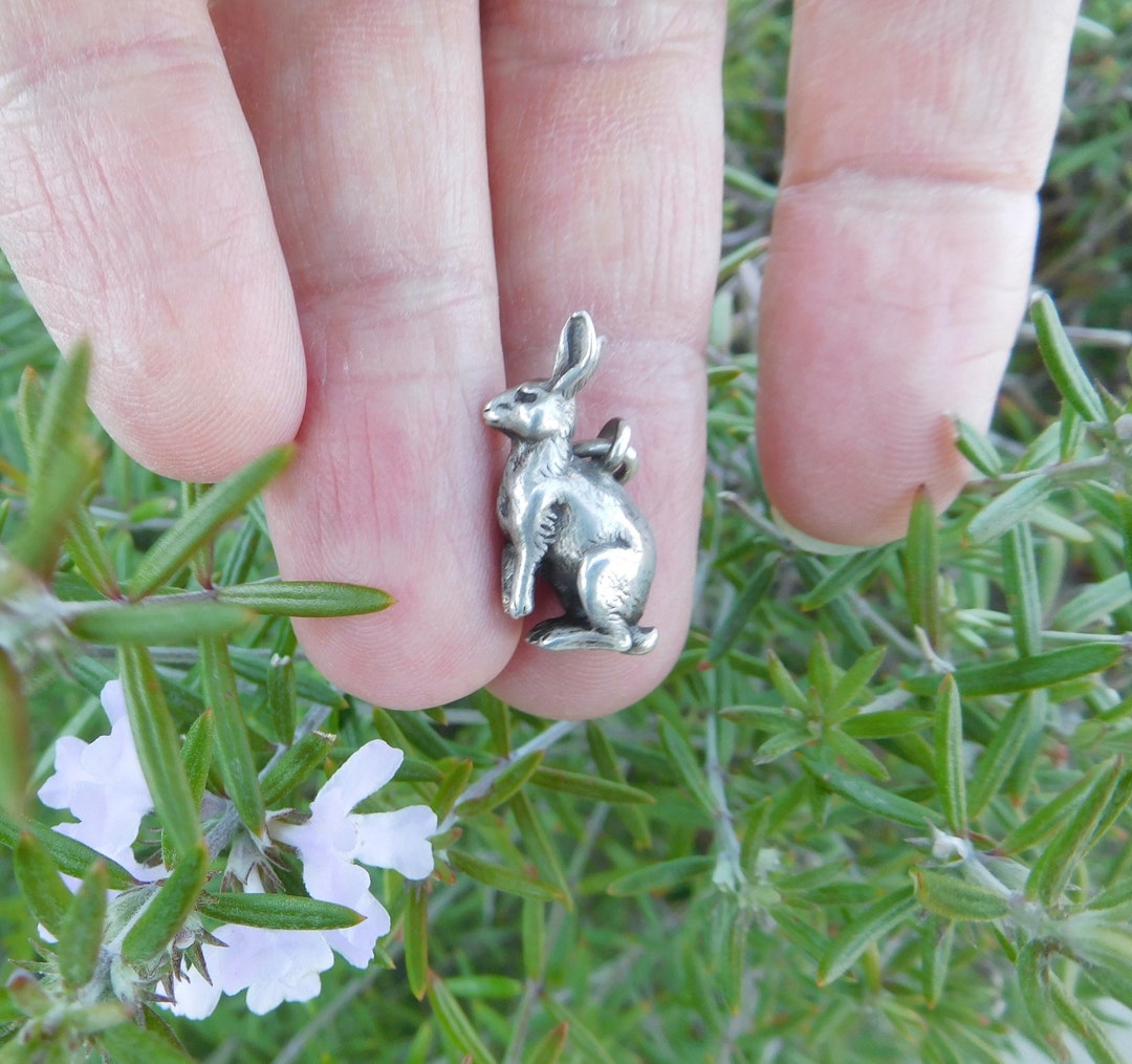 Important Victorian Edwardian 1890s Silver Rabbit Easter Snow Bunny ...