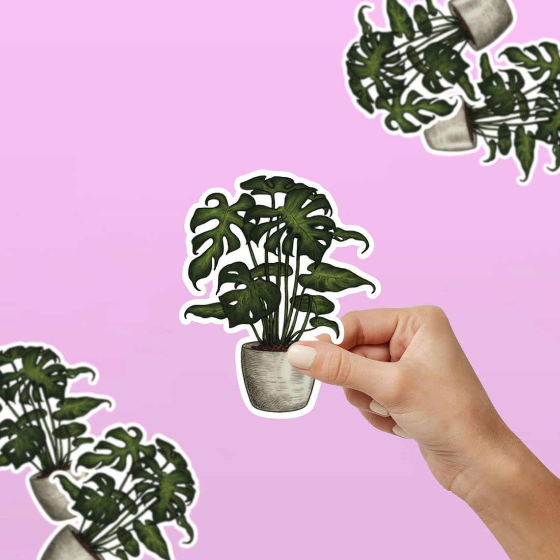 Monstera Plant Sticker Potted Plant, Laptop Sticker, Collectible ...