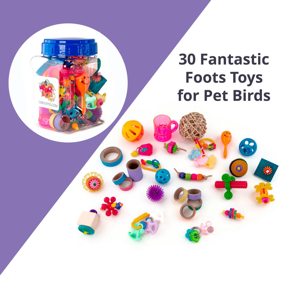 Conure Footies Jar of Foot Toys - Parrot Accessories, Bird Toys ...