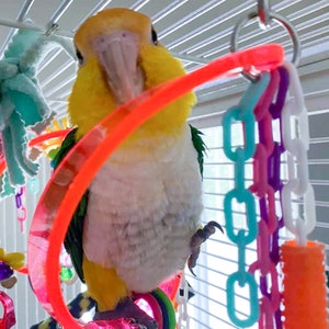 Twisty Twirly Wacky Whirly - Bird Toy, Great for Caiques, Pionus ...