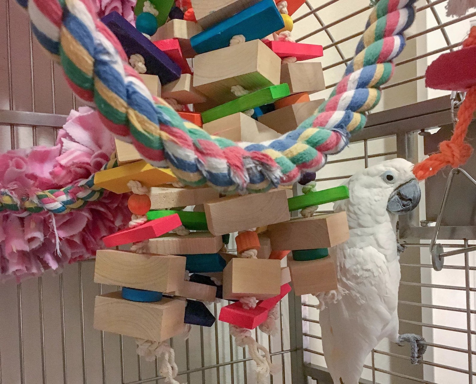 Lily's Block Party - Extra Large Bird Toy for Big Parrots Like Amazons ...