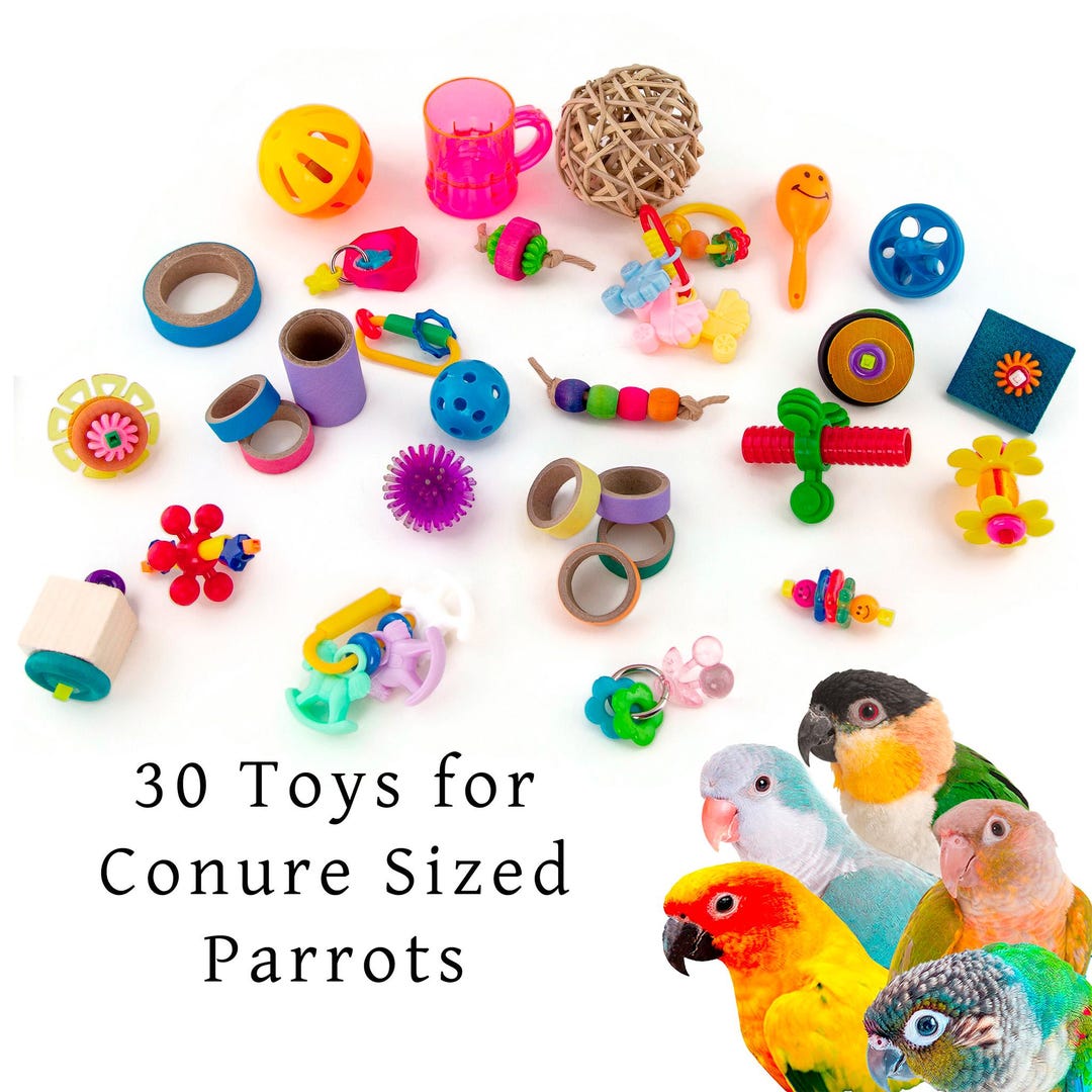 Foot Toys for Small Parrots With Storage Jar - Etsy