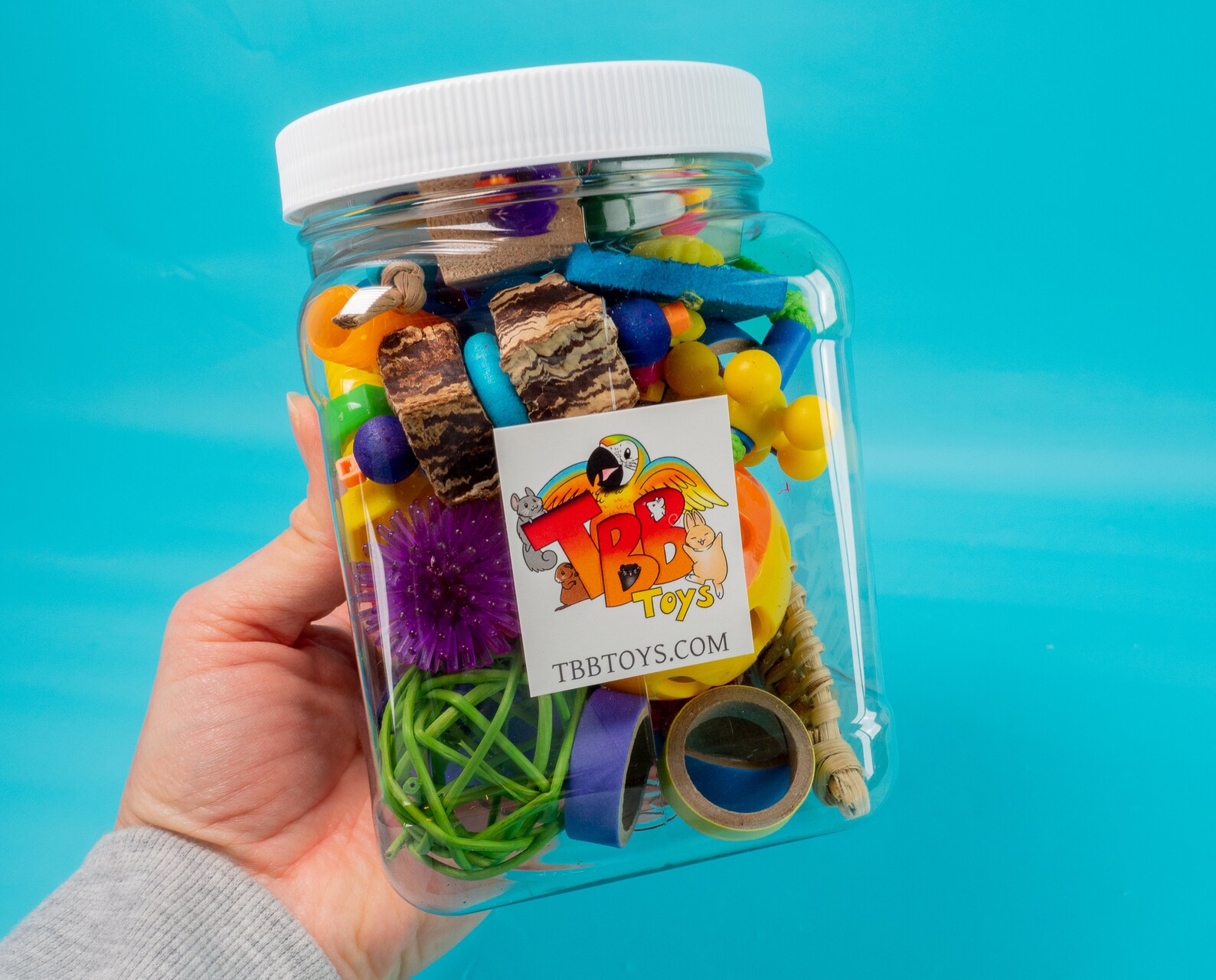 Conure Footies Jar of Foot Toys Parrot Accessories Bird - Etsy