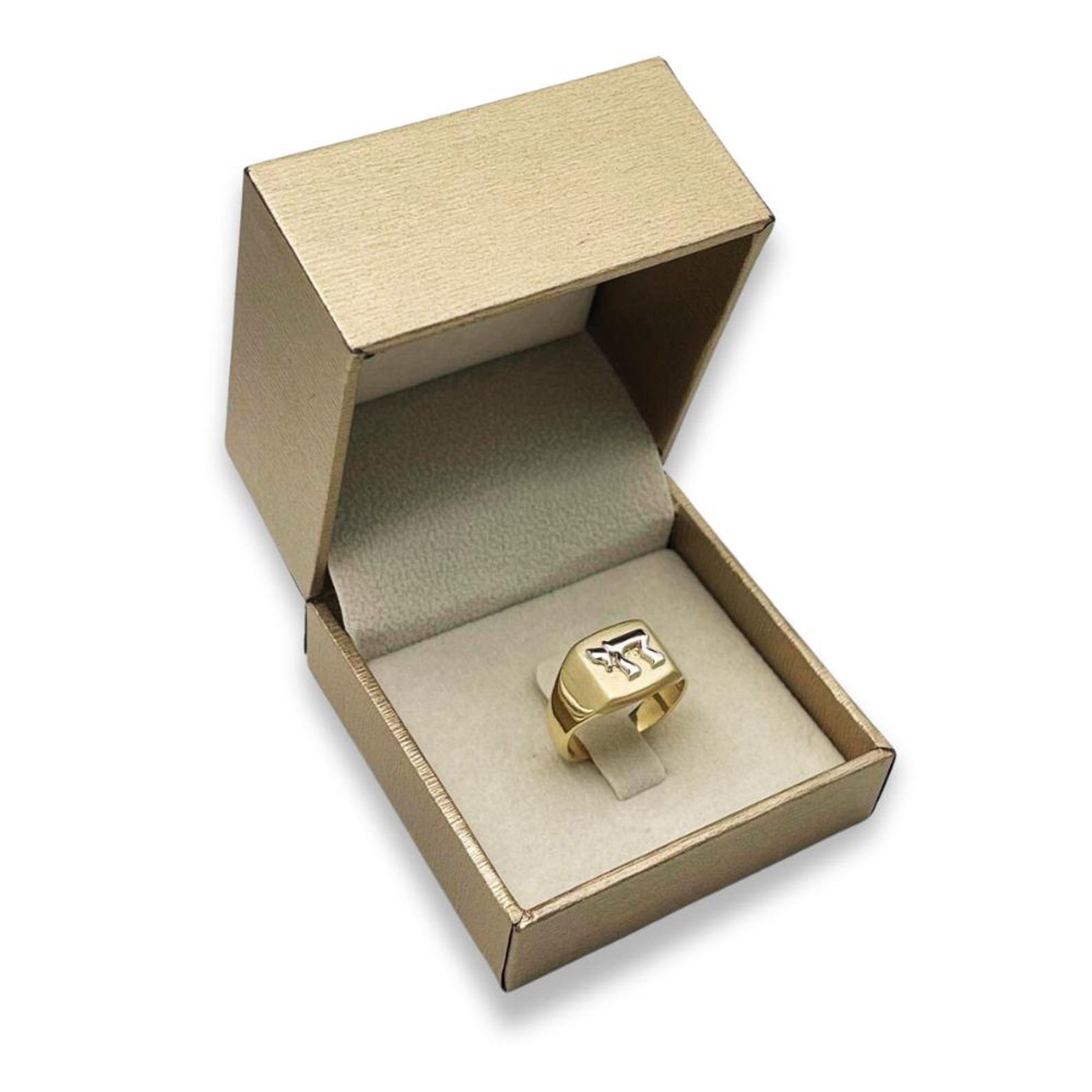 14k Gold Chai Ring, White Gold Chai on Yellow Gold Signet Ring, Hebrew ...