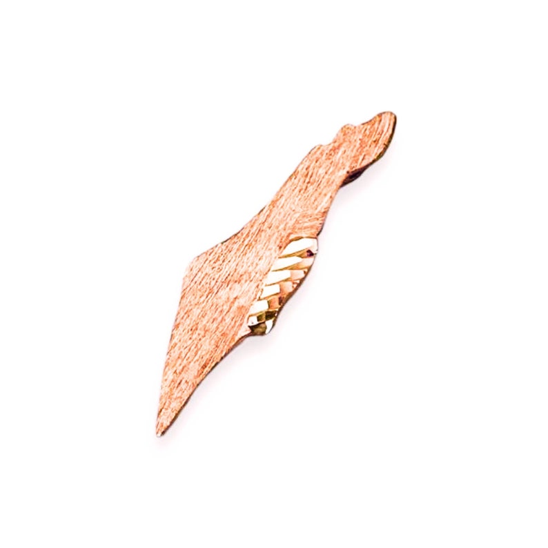 Map of Israel 14K Brushed Gold Pendant, State of Israel Necklace Charm ...