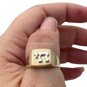 14k Gold Chai Ring, White Gold Chai on Yellow Gold Signet Ring, Hebrew ...