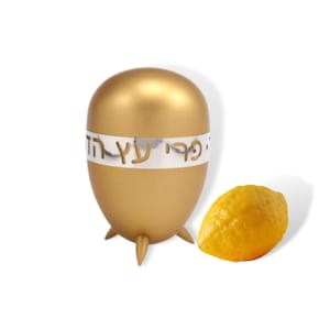 Etrog Box With Hebrew Text, Modern Etrog Case, Unique Etrog Holder ...
