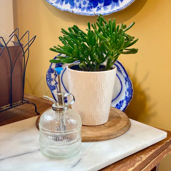 Plant Mister - Etsy