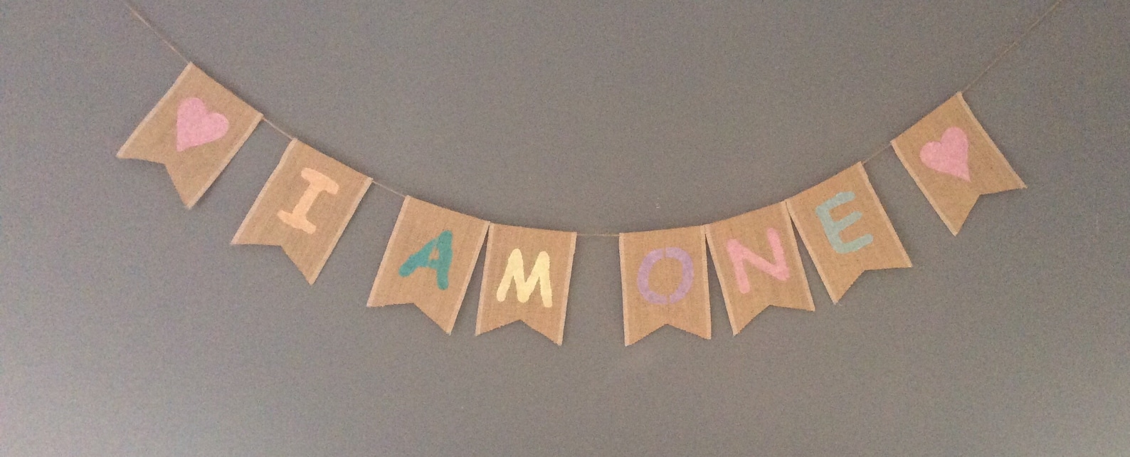 I Am One One Today First Birthday Party Bunting Banner. | Etsy UK