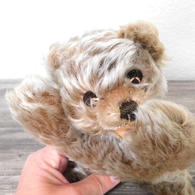 Steiff Zotty Bear - Etsy
