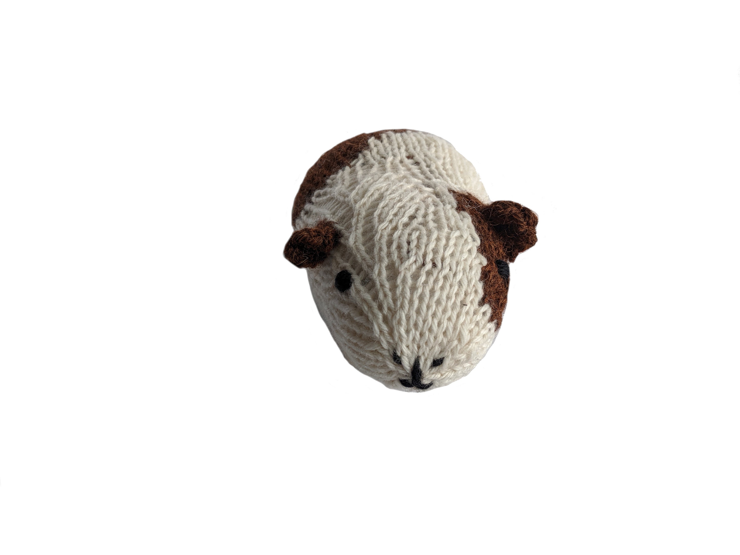 Knitted Guinea Pig Pattern PDF Pattern Knitting Pattern | Etsy