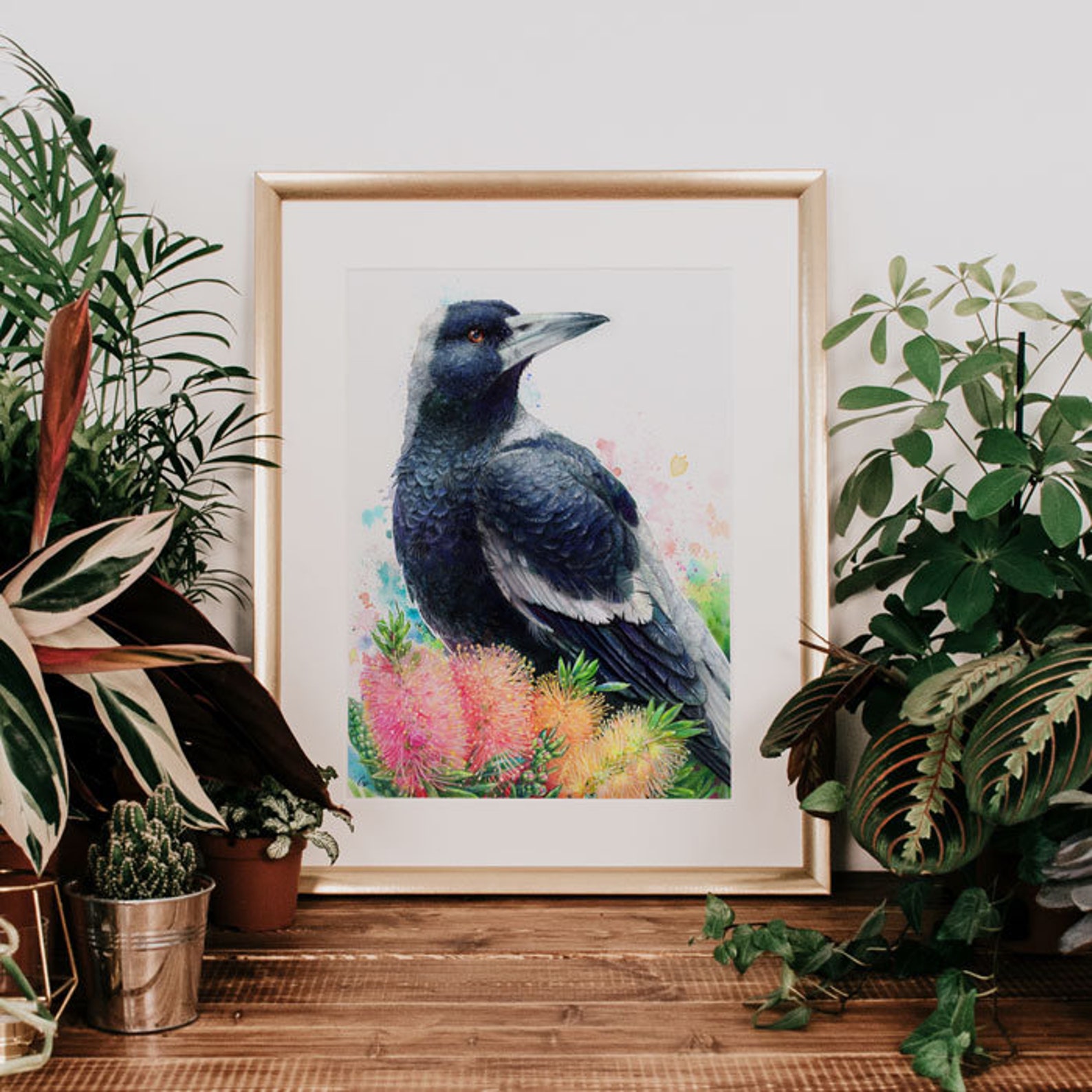 Australian Magpie Art Print Native Flowers Bird Print Bird - Etsy