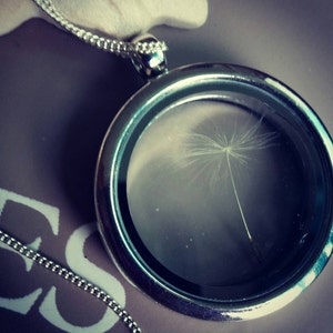 Dandelion Necklace, Dandelion Wishes, Sterling Silver, Dandelion Locket ...