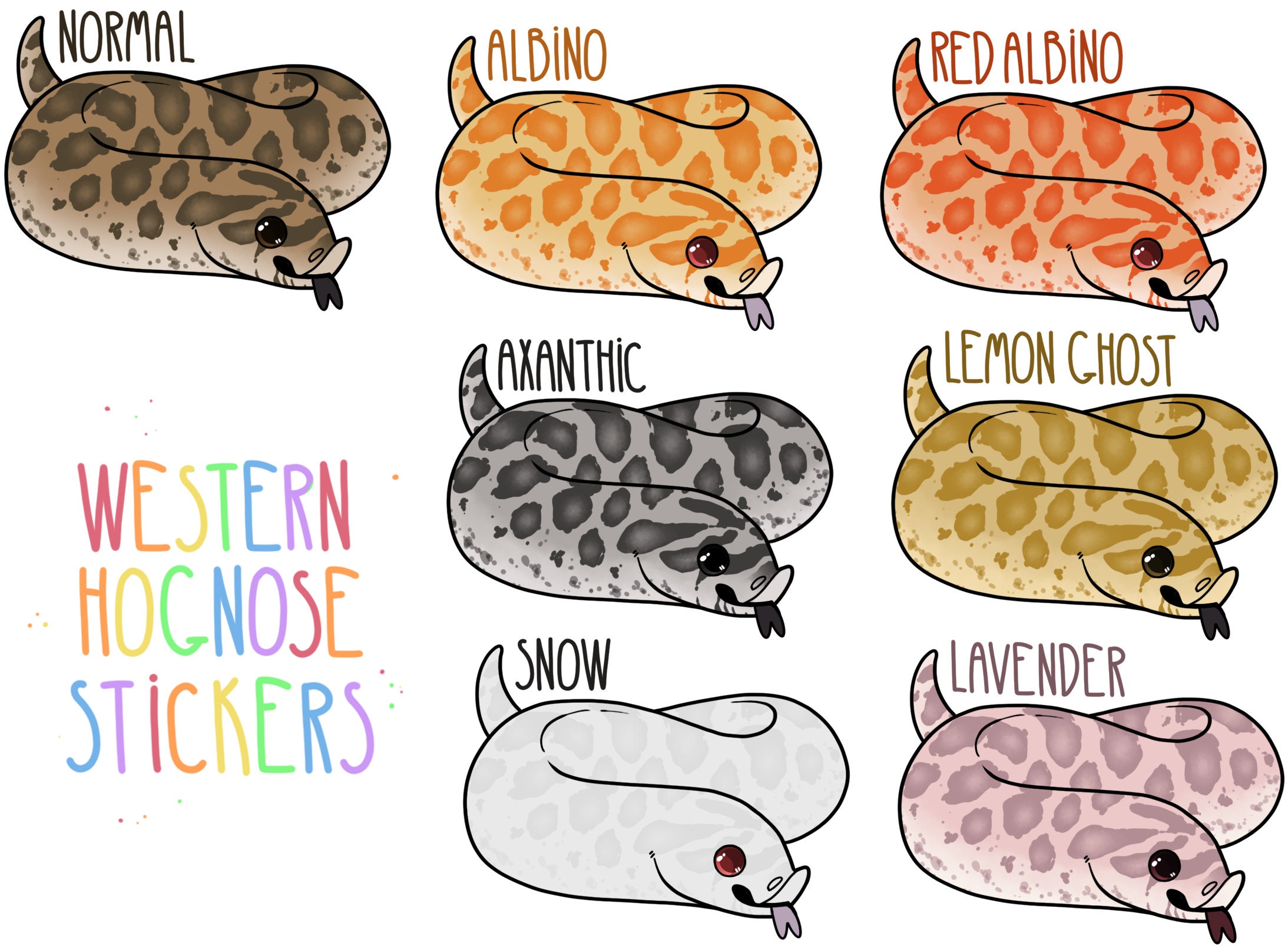 Hognose Stickers Popular Hognose Morphs Conda Superconda Lavender Snow Albino Lemon Ghost ...