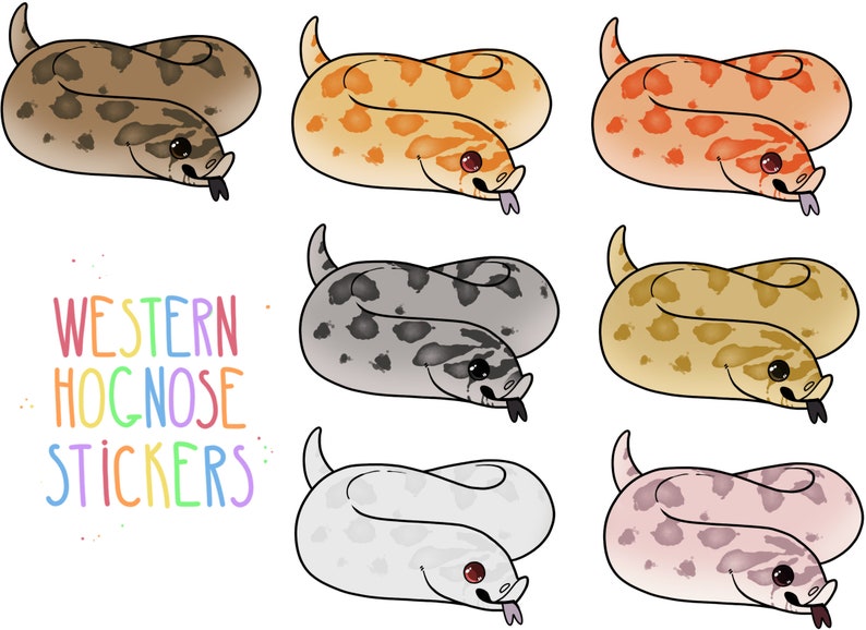 Hognose Stickers | Popular Hognose Morphs | Conda | Superconda ...