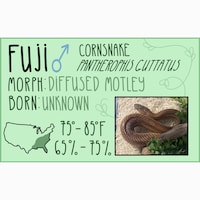 Custom Animal Enclosure Label – Laminated Pet Tag for ANY SPECIES – 3 ...