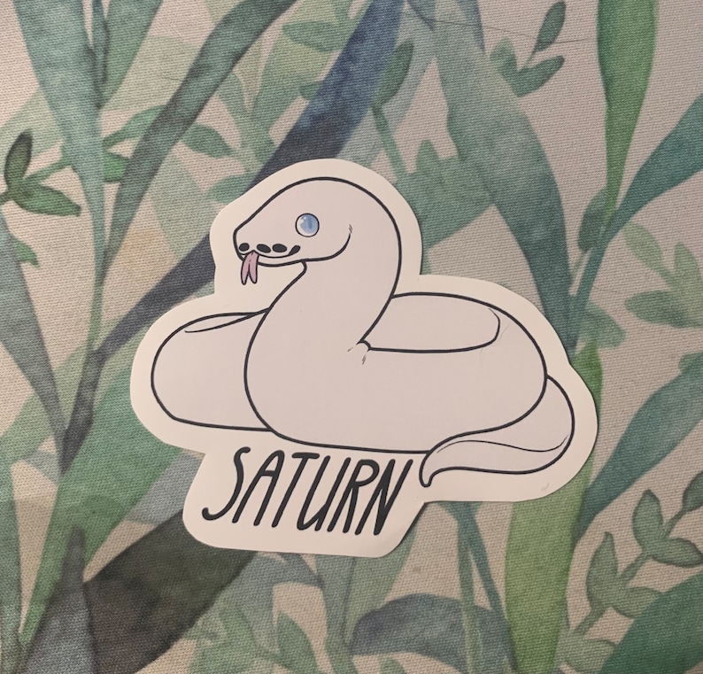 Ball Python Stickers Popular Ball Python Morphs Albino Pied Pied Pastel ...