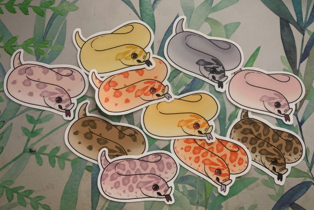 Hognose Stickers | Popular Hognose Morphs | Conda | Superconda ...