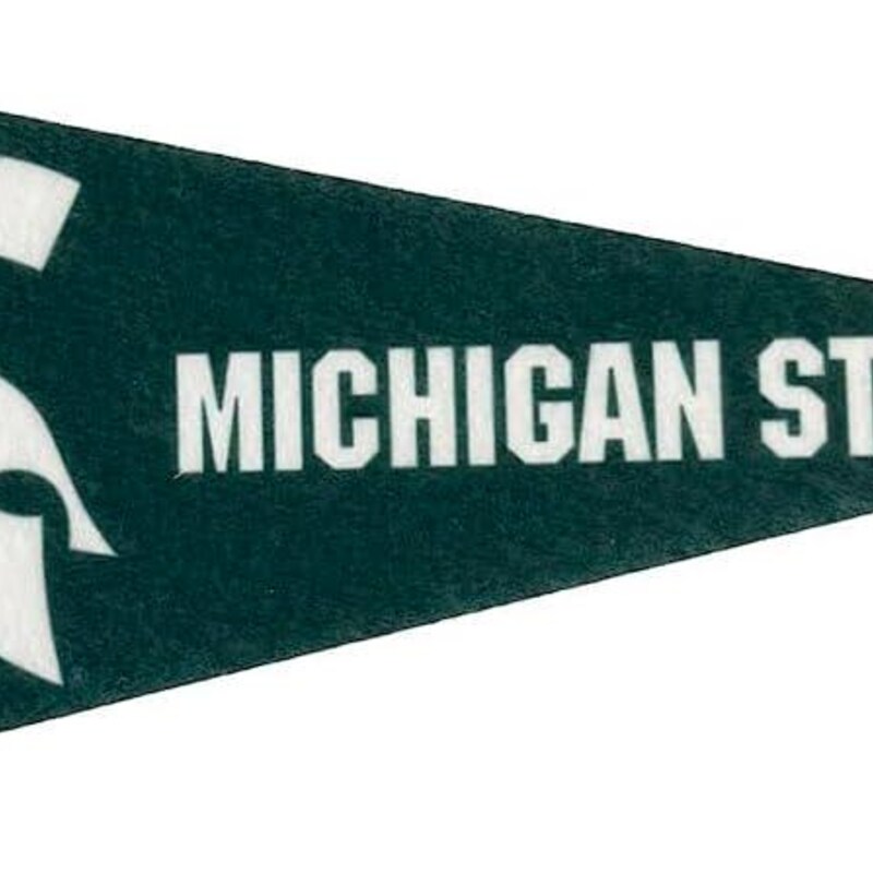 Michigan Felt Pennants - Etsy