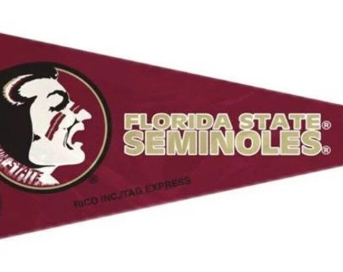Florida State Seminoles NCAA Mini Pennants 4 X 9 - Etsy