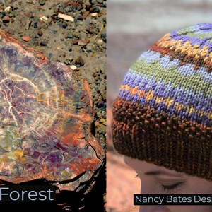 Petrified Forest National Park Beanie Knitting Pattern - Etsy