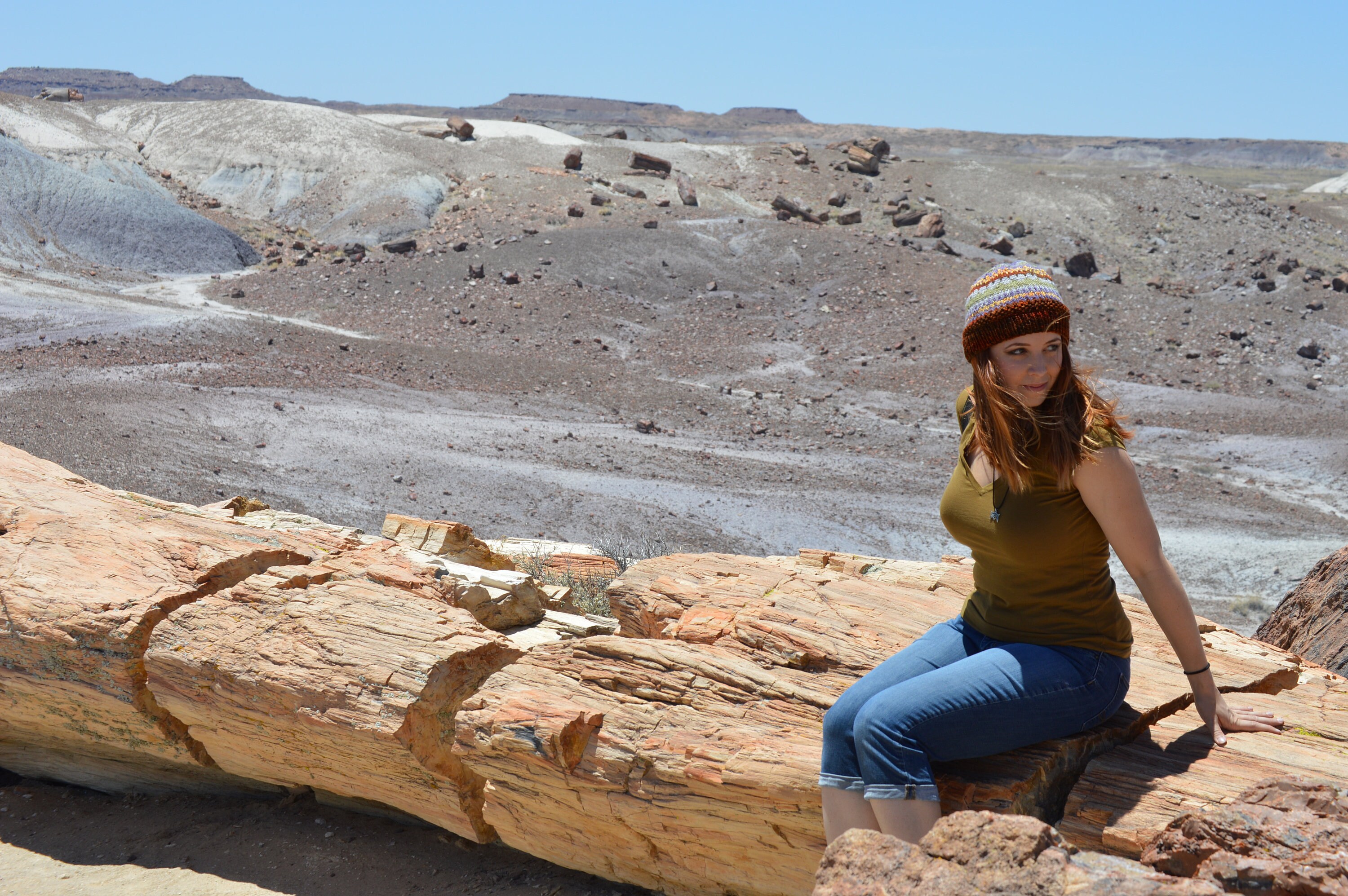 Petrified Forest National Park Beanie Knitting Pattern - Etsy
