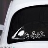 Dragon Hidden Easter Egg Decal, Windshield Decal Sticker, Funny Car ...