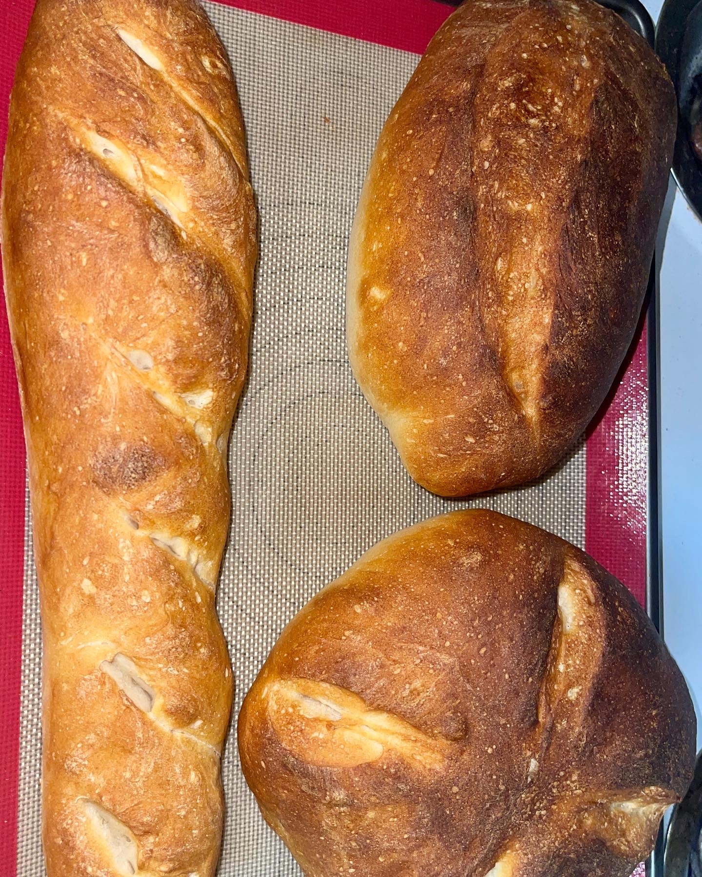 Homemade Breads - Etsy Canada