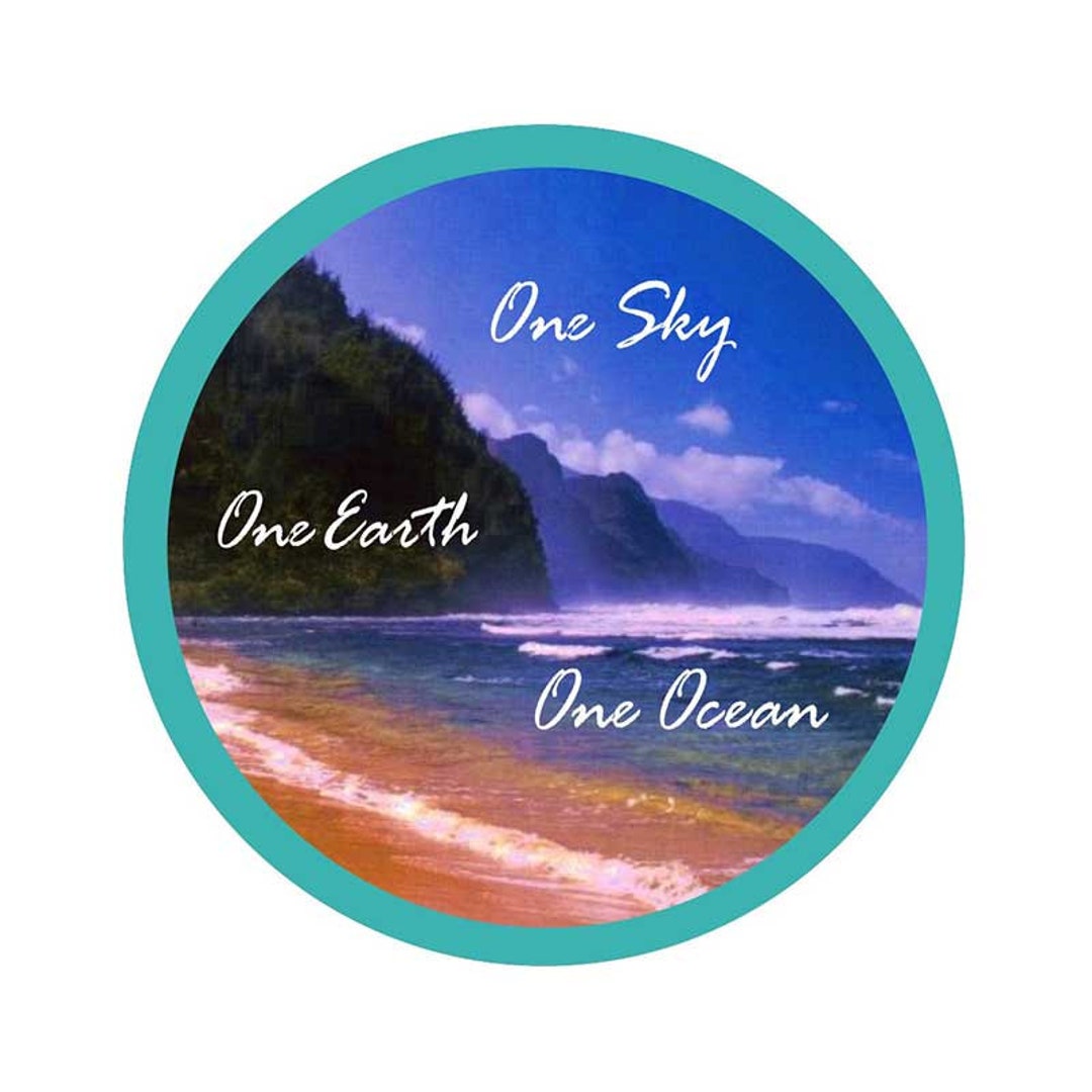 One Sky One Earth One Ocean - Button / Pinback or Magnet - Etsy