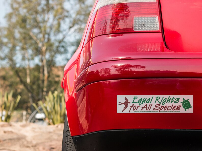 Equal Rights for All Species Bumper Sticker / Decal or | Etsy