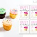Primary Teacher Cupcake Happy Birthday Printable Tag - Etsy
