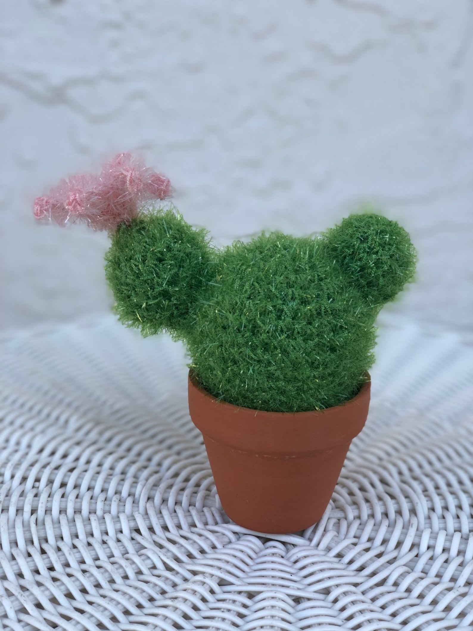 Scrubby Sparkle Cactus Cacti Dishcloth Sponge Autumn Fall - Etsy