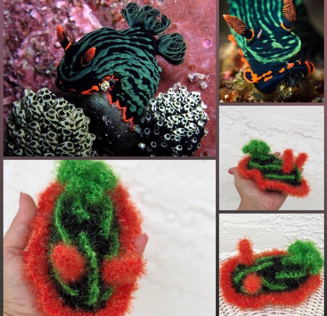 Scrubby Sparkle Crochet Nudibranch Dishcloth Sponge Nudibranch Sea Slug ...