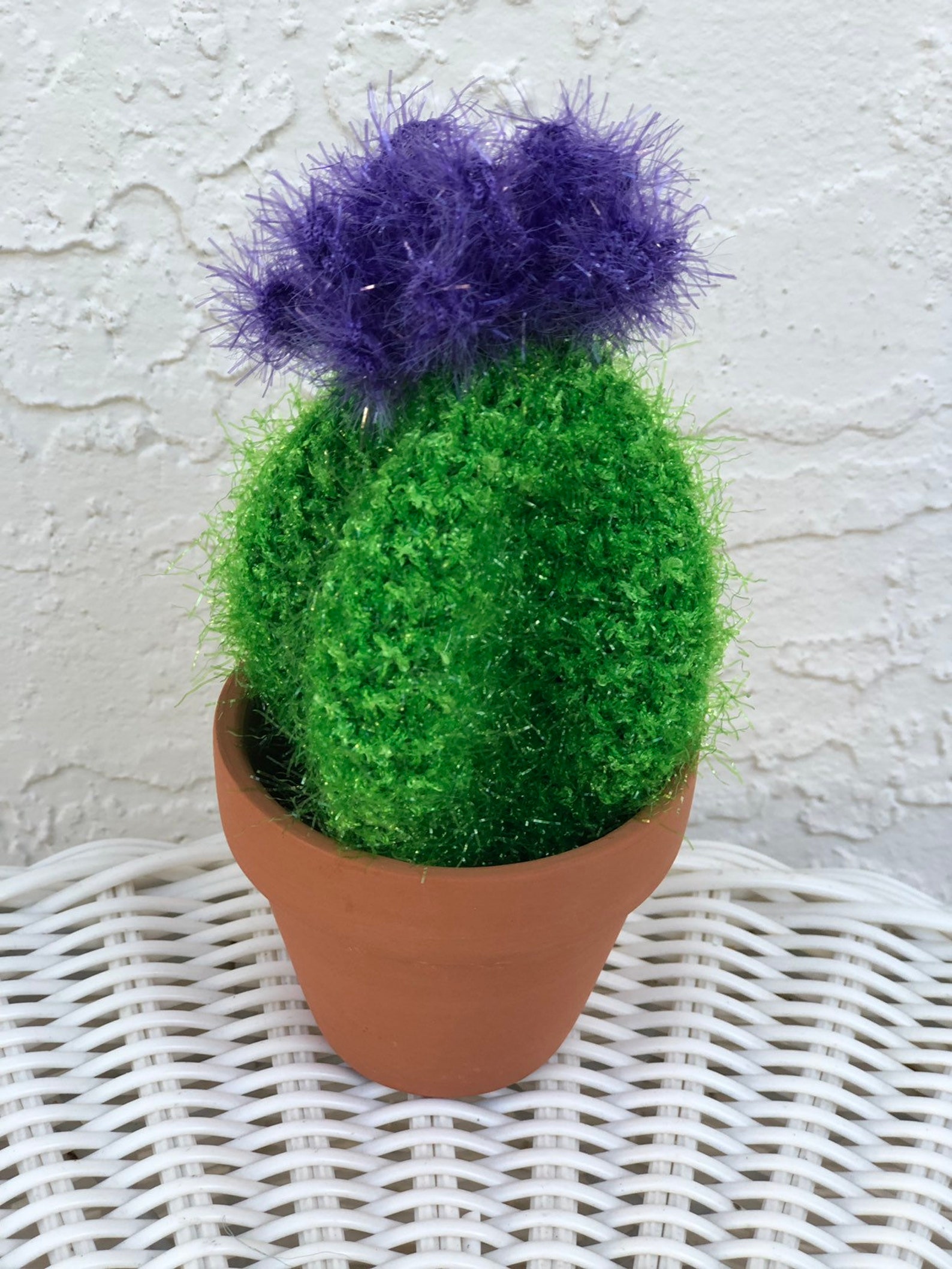 Scrubby Sparkle Cactus Cacti Dishcloth Sponge Autumn Fall Decor ...