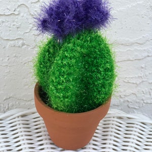 Scrubby Sparkle Cactus Cacti Dishcloth Sponge Autumn Fall Decor ...