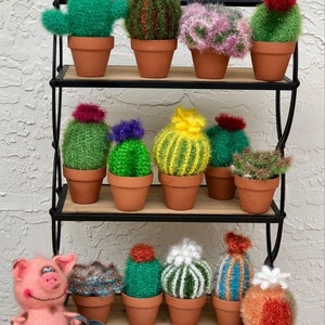 Scrubby Sparkle Cactus Cacti Dishcloth Sponge Autumn Fall Decor ...