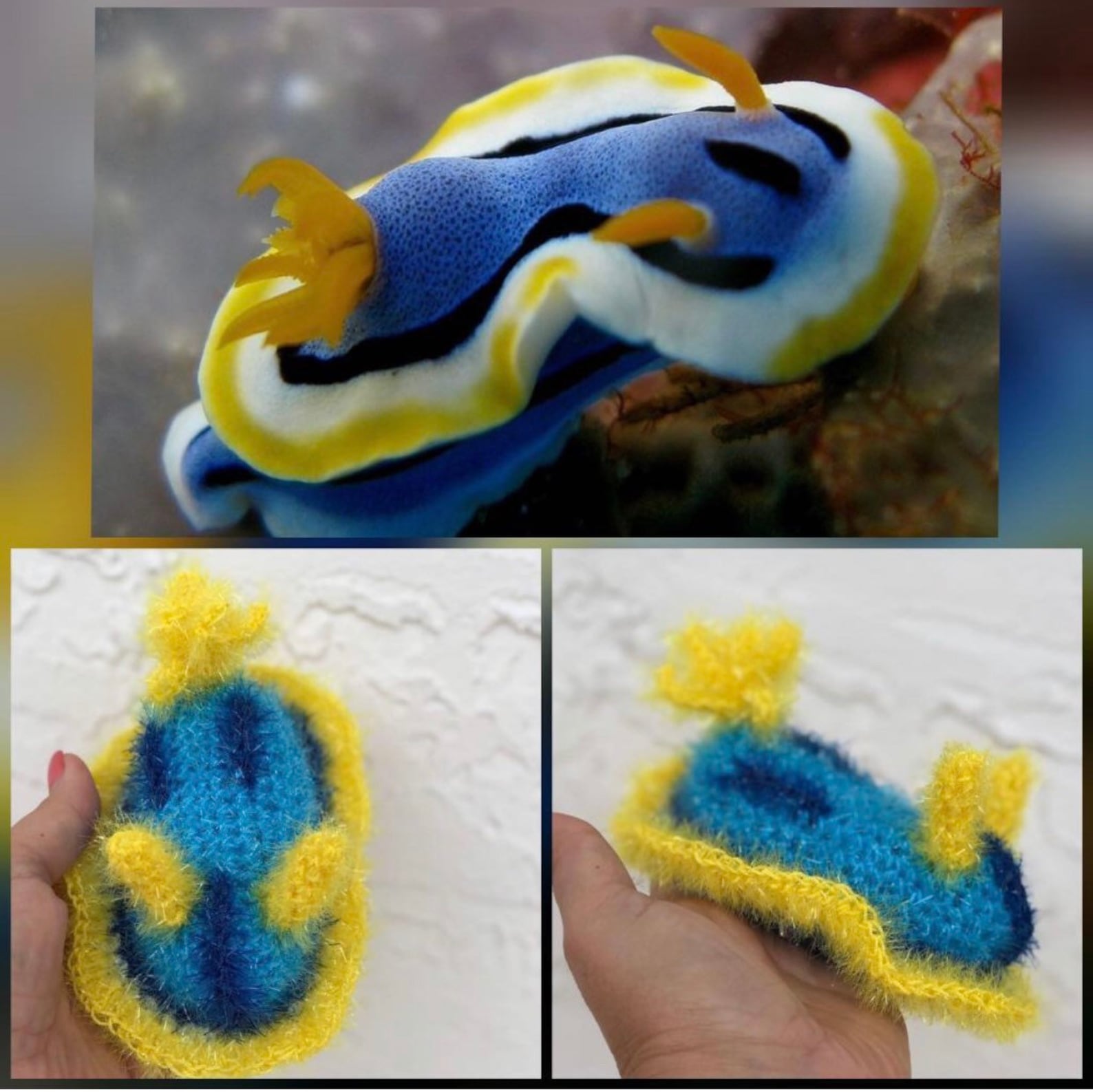 Scrubby Sparkle Crochet Nudibranch Dishcloth Sponge Nudibranch Sea Slug ...