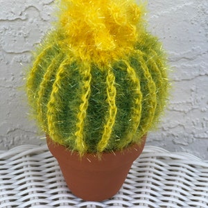 Scrubby Sparkle Cactus Cacti Dishcloth Sponge Autumn Fall Decor ...