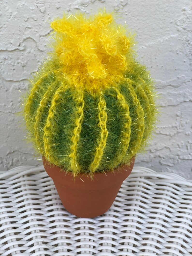 Scrubby Sparkle Cactus Cacti Dishcloth Sponge Autumn Fall | Etsy