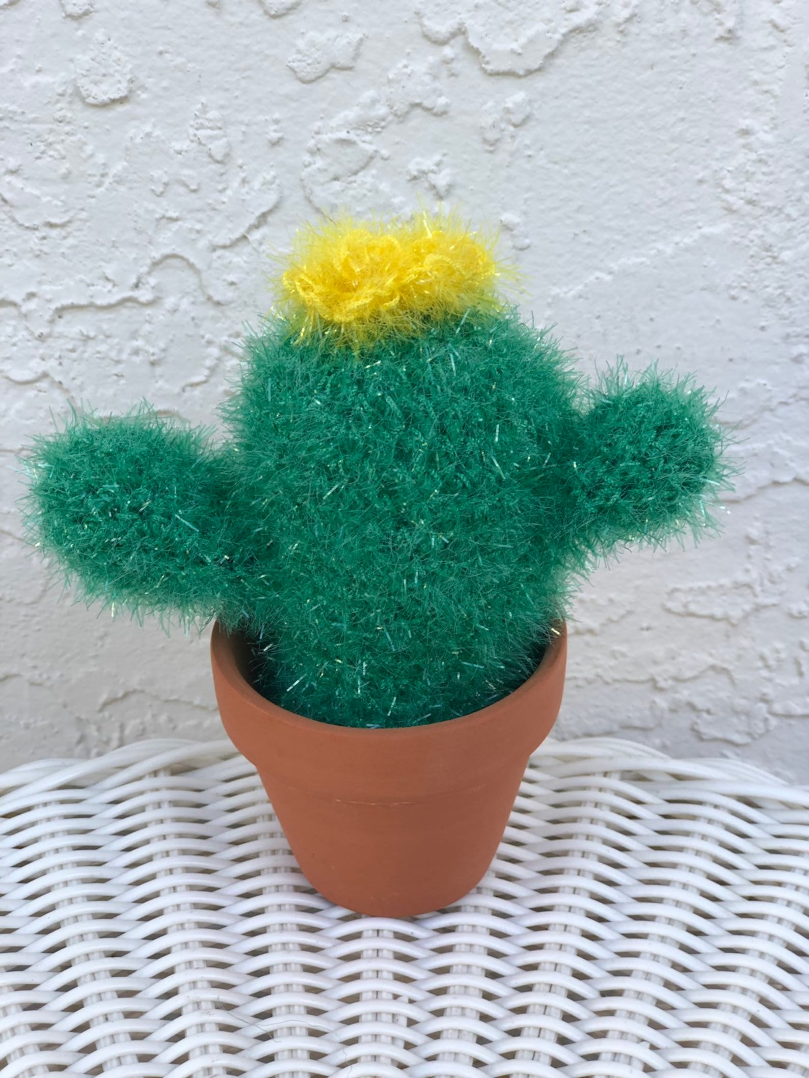 Scrubby Sparkle Cactus Cacti Dishcloth Sponge Autumn Fall - Etsy