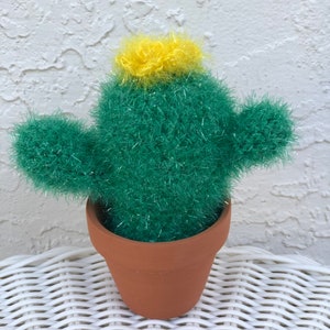 Scrubby Sparkle Cactus Cacti Dishcloth Sponge Autumn Fall Decor ...