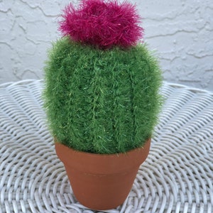 Scrubby Sparkle Cactus Cacti Dishcloth Sponge Autumn Fall Decor ...