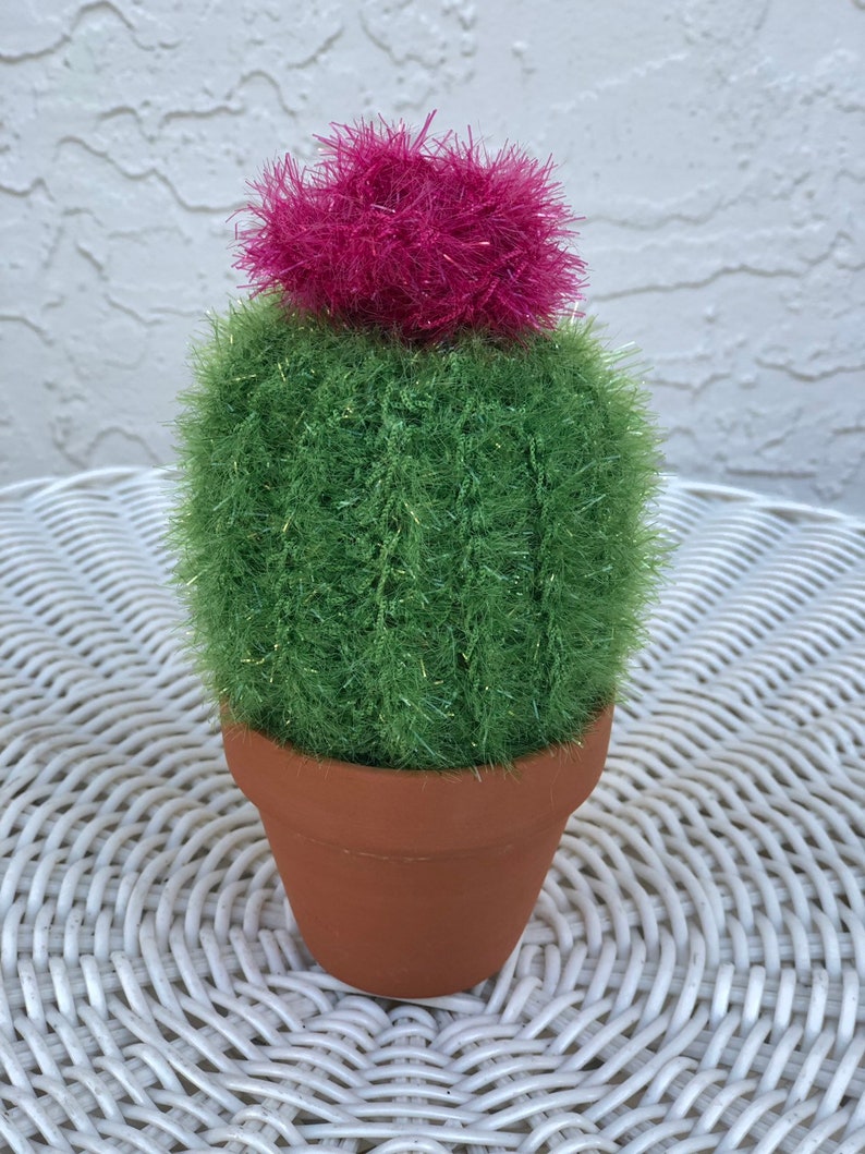 Scrubby Sparkle Cactus Cacti Dishcloth Sponge Autumn Fall - Etsy