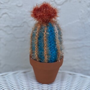 Scrubby Sparkle Cactus Cacti Dishcloth Sponge Autumn Fall Decor ...