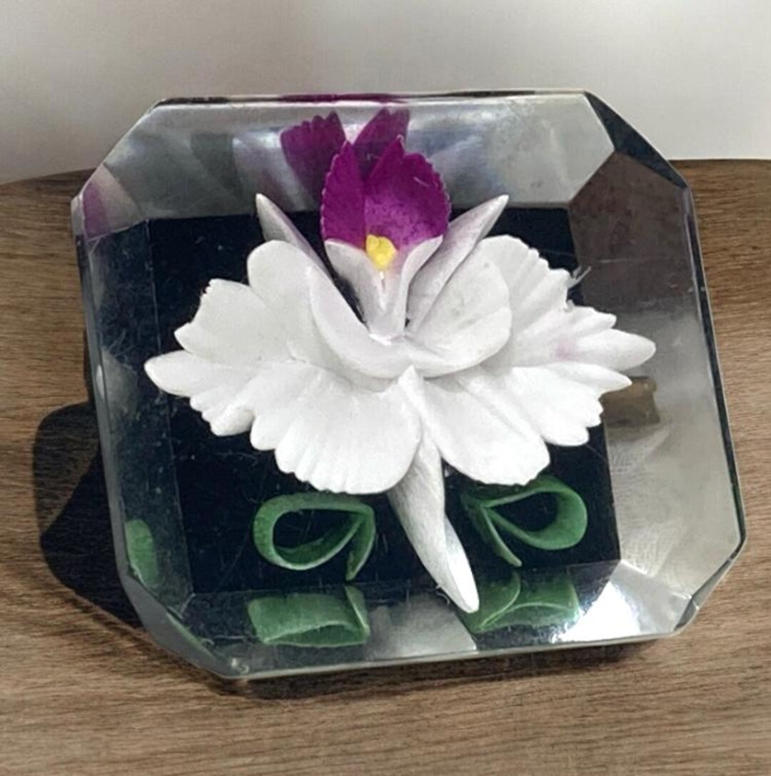 Vintage Reverse-carved Lucite Brooch Featuring a Detailed White and ...