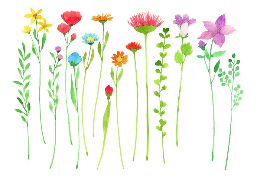Digital Clip Art, Leaf and Flower, Watercolor Flowers - Etsy