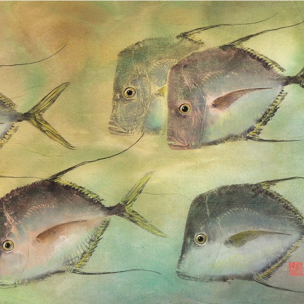 Print of Fish - Etsy