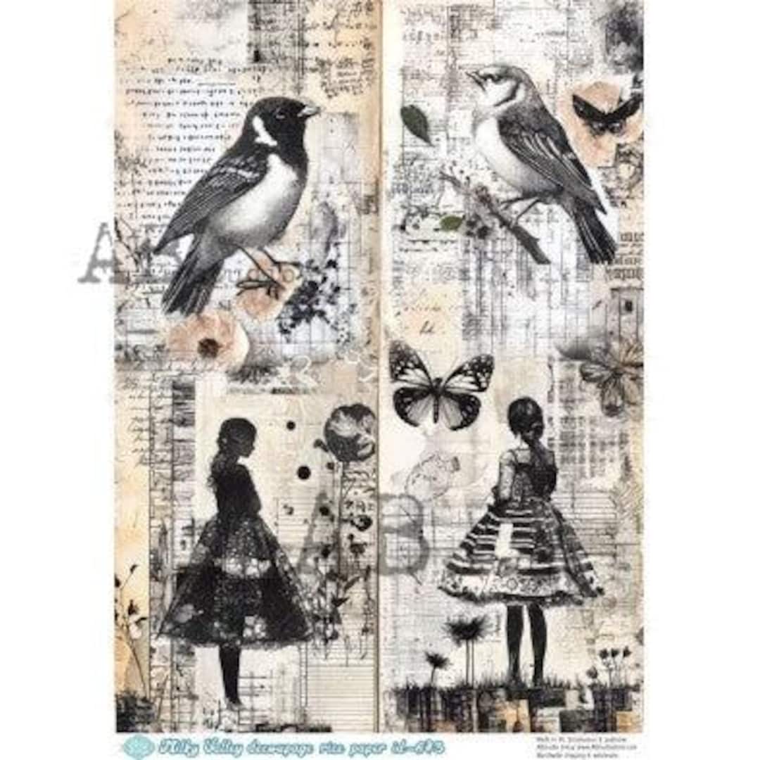Monotone Bird Collage | A4 Rice Paper | Paper for Decoupage | AB ...