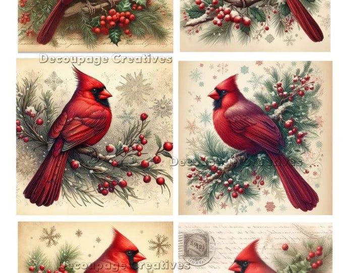 Red Cardinal Squares A4 Rice Paper Paper for Decoupage Decoupage ...