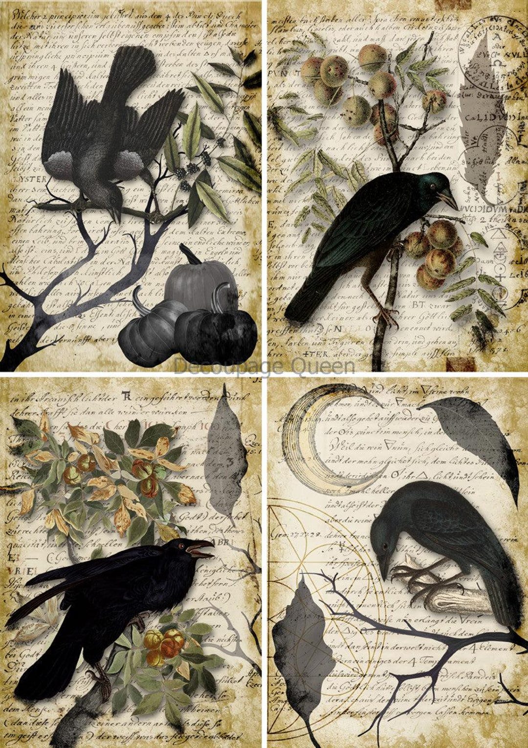 Raven Grimoire A3 or A4 Rice Paper Paper for Decoupage Decoupage Queen ...
